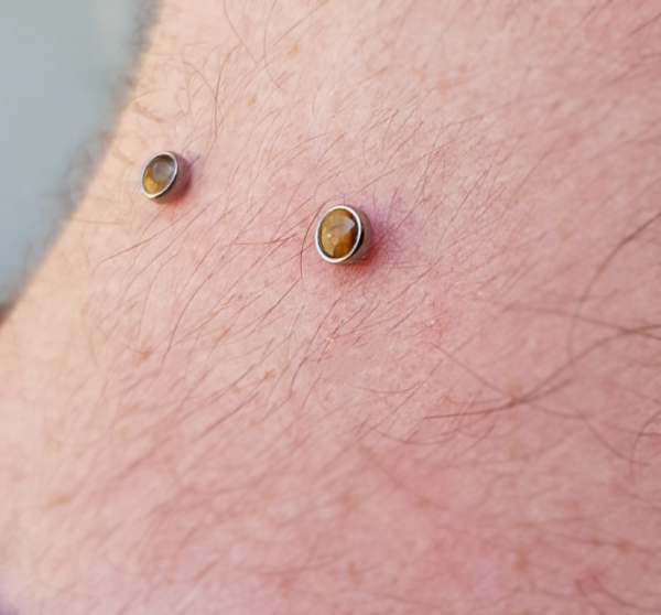 Piercing portfolio - Blue Lotus